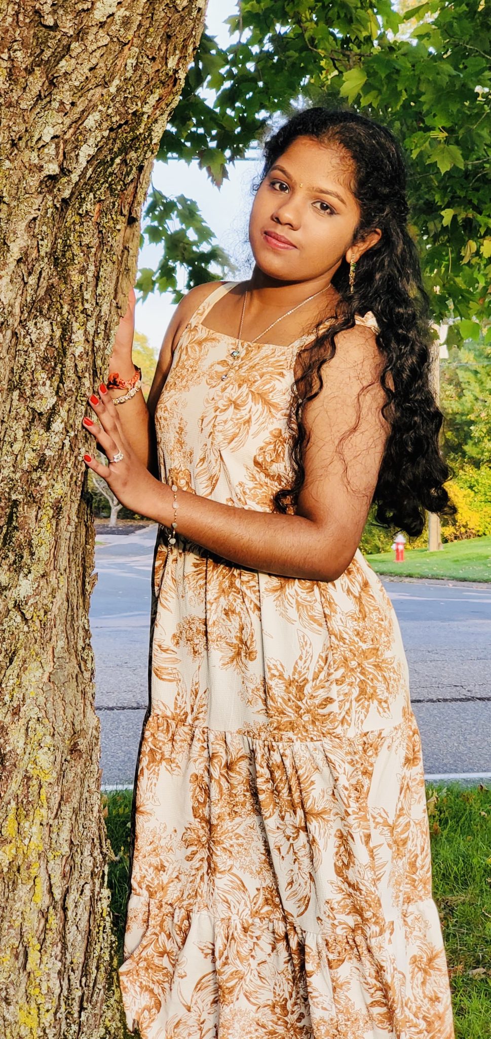 High school announces Class of 2026 valedictorian, salutatorian – North ...
